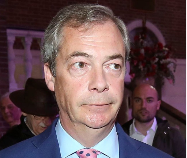 Gráinne Hayes: Life of Nigel Farage’s First Wife